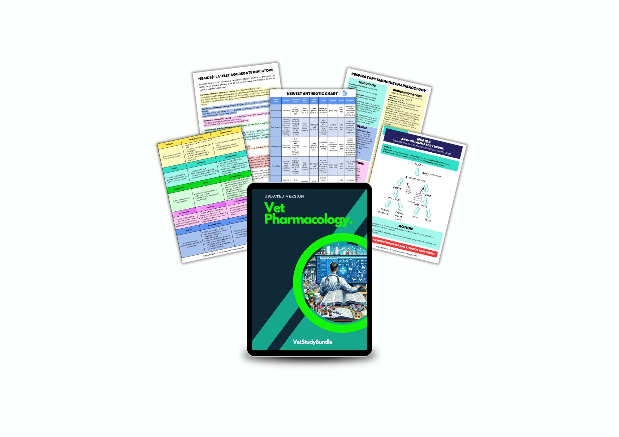 VetStudyBundle: Your Destination for Veterinary Success – Vet Study Bundle