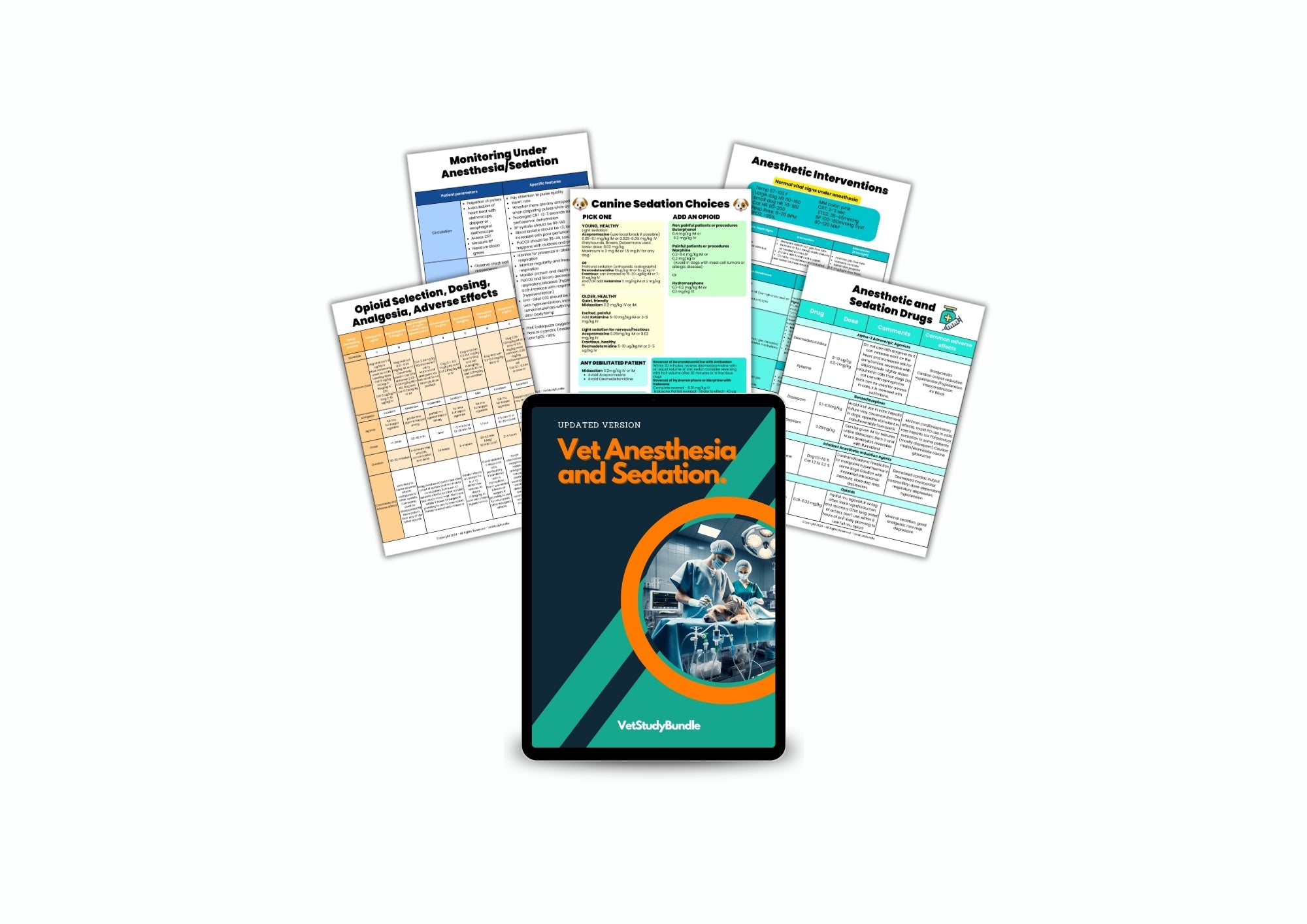 VetStudyBundle: Your Destination for Veterinary Success – Vet Study Bundle