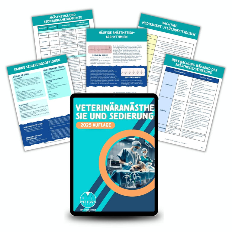 The Complete Vet Anatomy Flashcard Pack – Vet Study Bundle