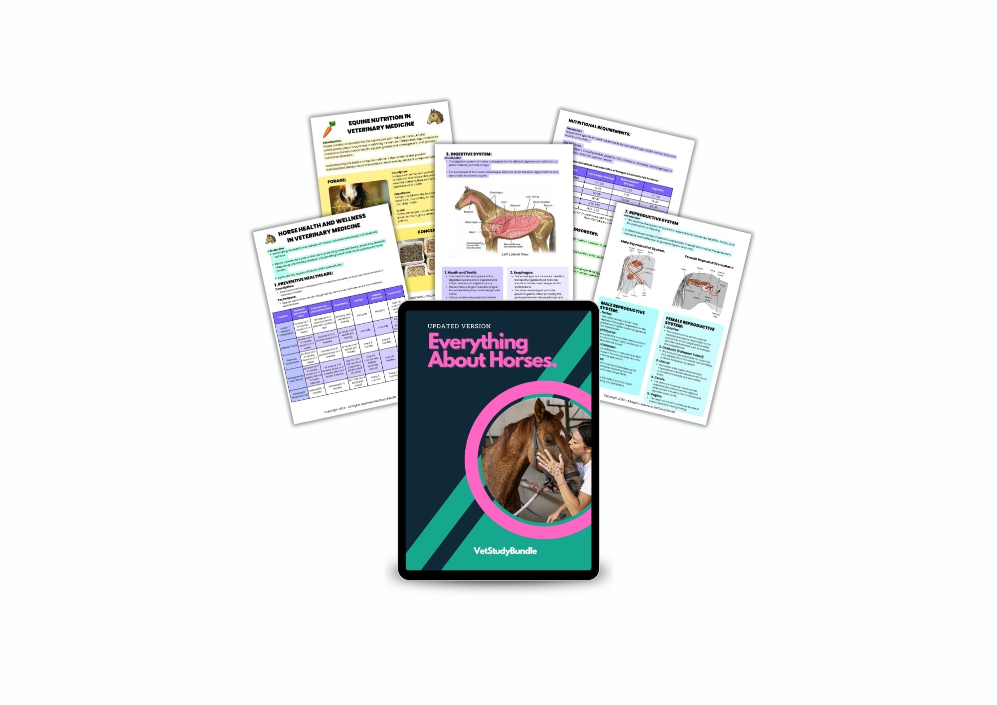 VetStudyBundle: Your Destination for Veterinary Success – Vet Study Bundle