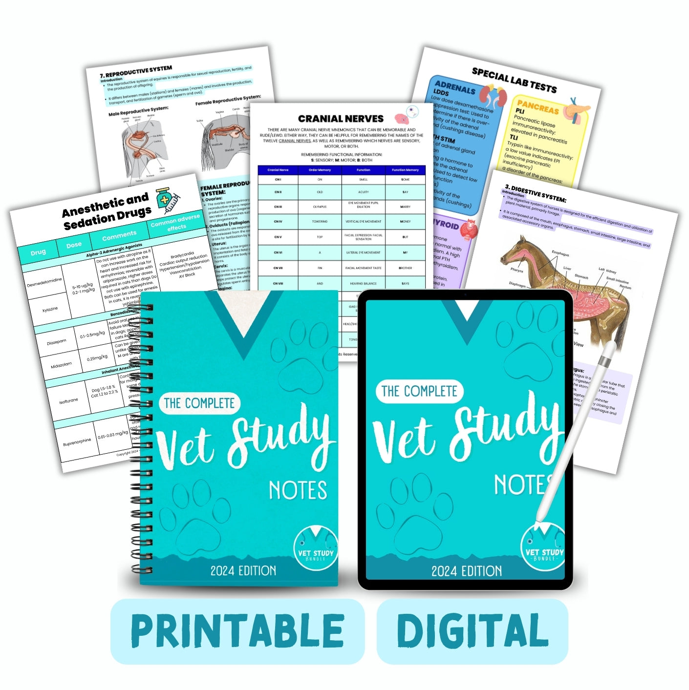 VetStudyBundle: Your Destination for Veterinary Success – Vet Study Bundle